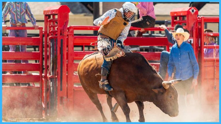 Bull Riding Rules: How To Ride, Scoring, Winning, Strategy