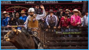 Bull Riding Rules: How To Ride, Scoring, Winning, Strategy